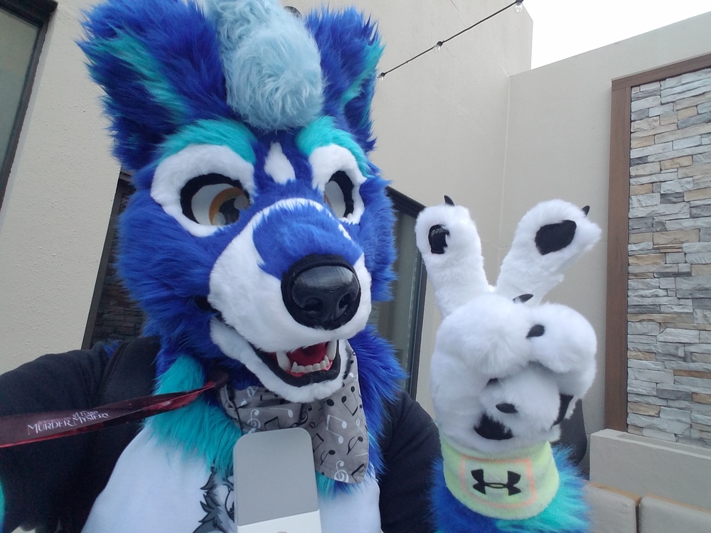 Seán Na Lapaíoighir 🐺 🐾🤟 (@lapaioighir@furries.club) - Furries.club