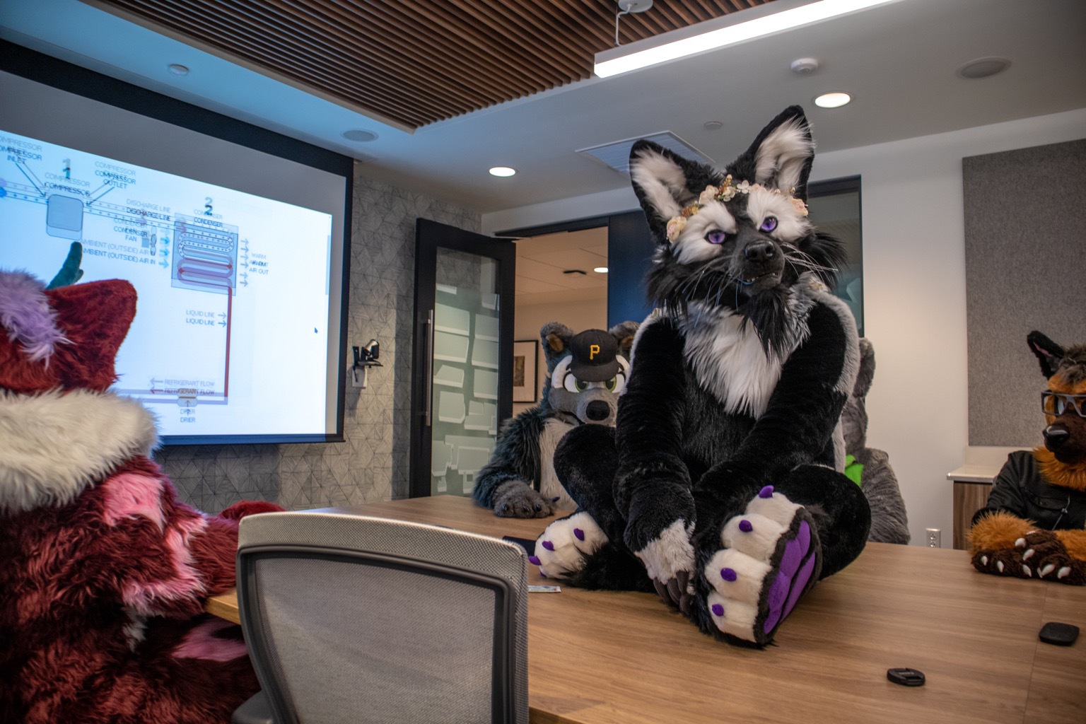 「fleece!」:ms_bat: (@lupomancer@furries.club) - Furries.club