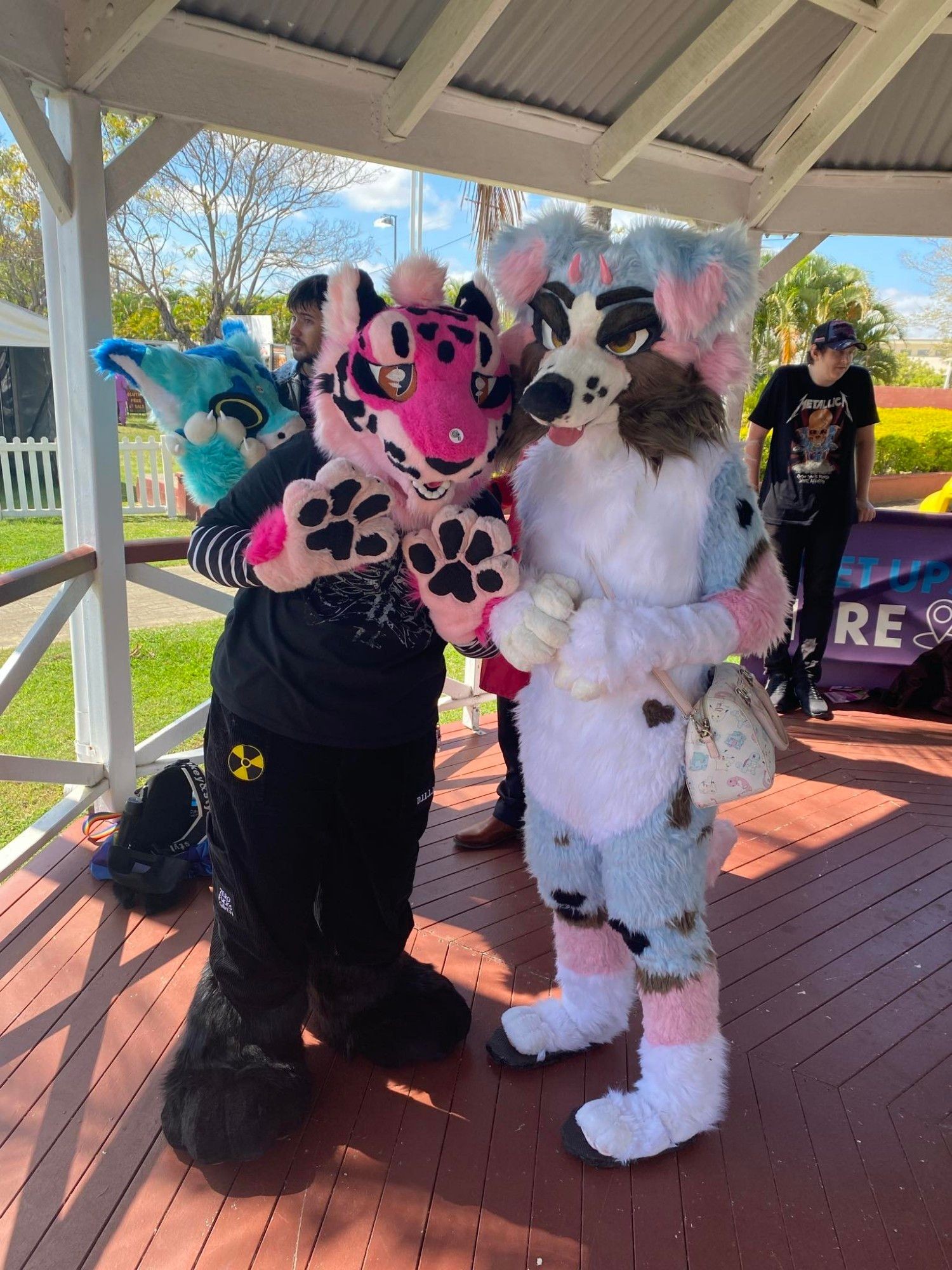 Lexy (@Lexyaus_fursuits@furries.club) - Furries.club
