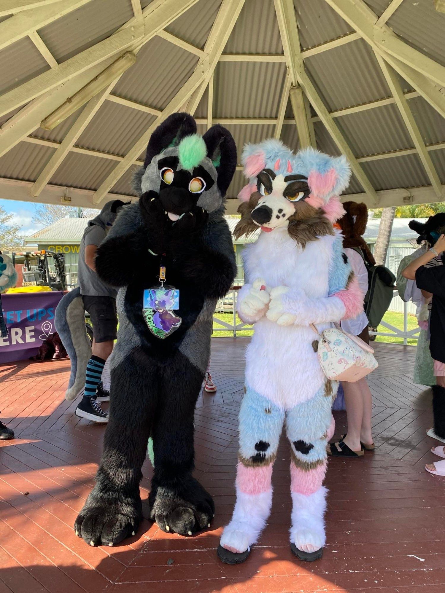 Lexy (@Lexyaus_fursuits@furries.club) - Furries.club