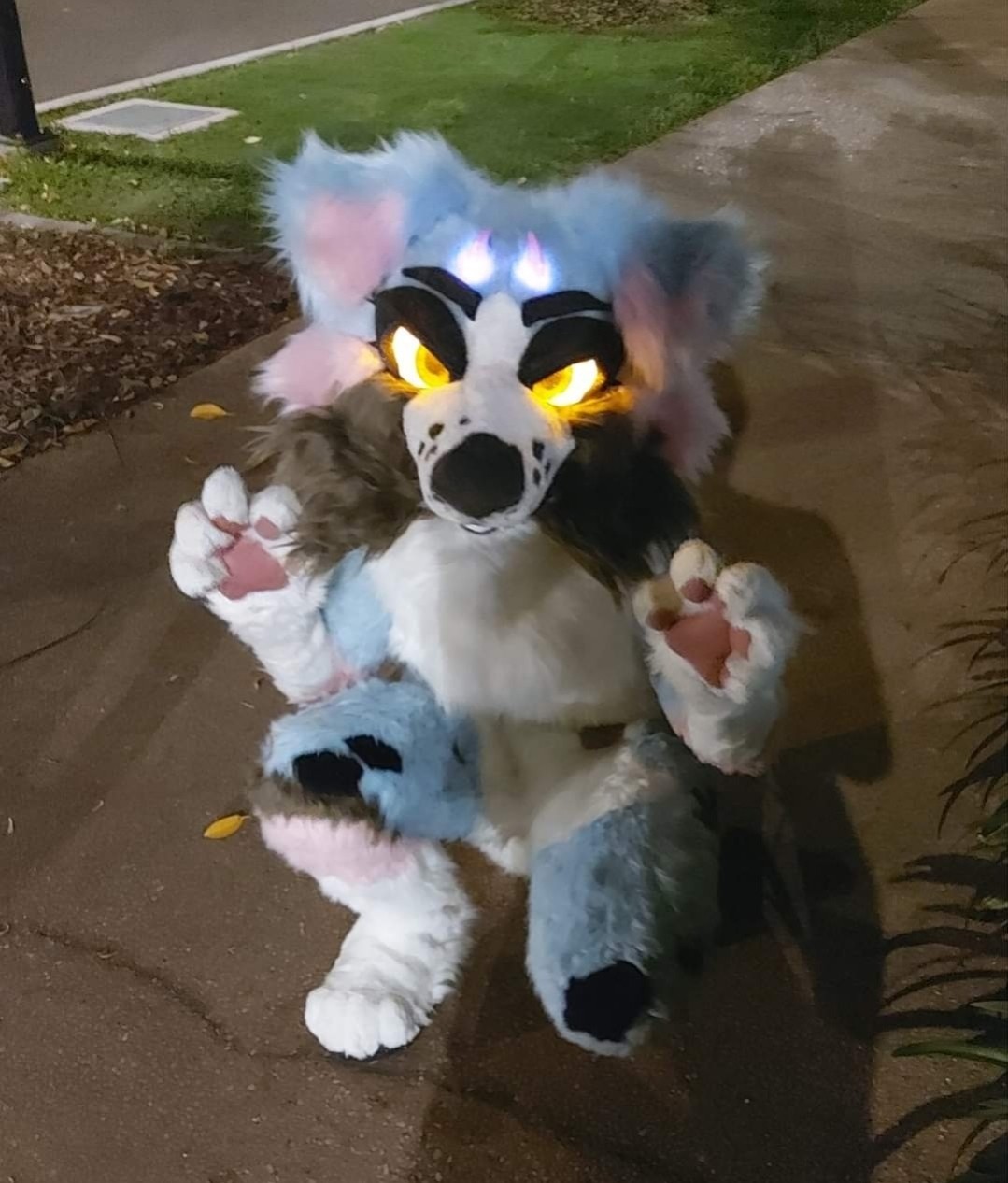 Lexy (@Lexyaus_fursuits@furries.club) - Furries.club